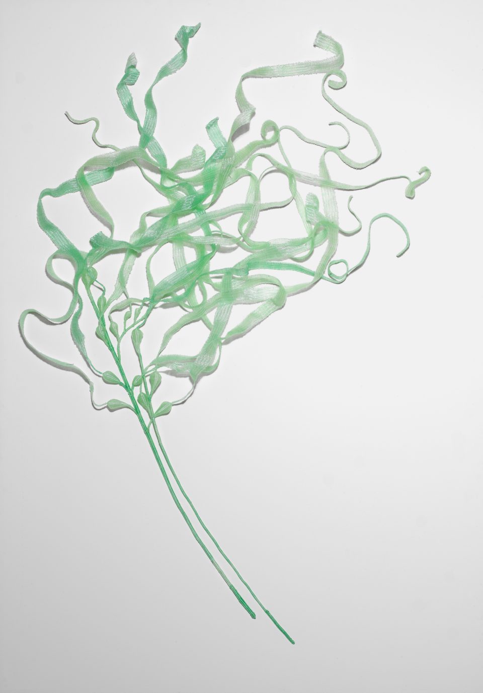 Precious Ocean – Weaving Nature